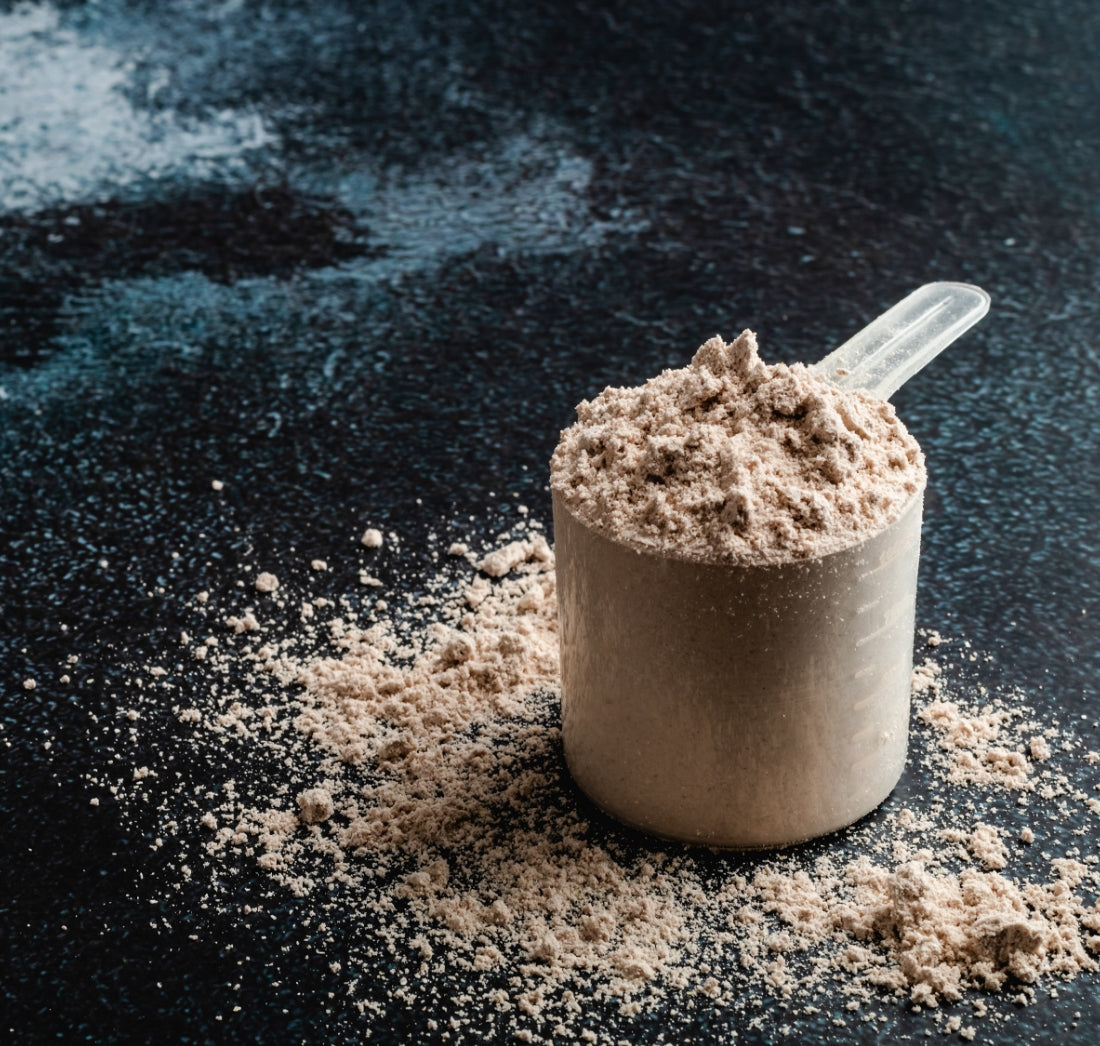 Surthrival - Premium Supplements – Supplements